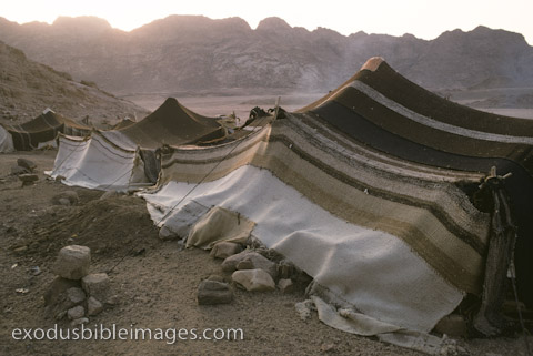 July | 2011 | Yedid Nefesh